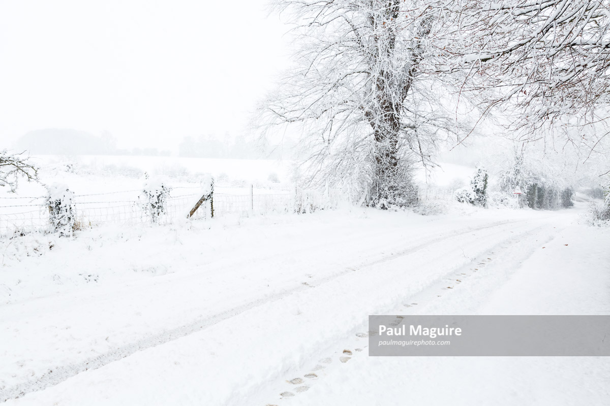Buy a photo - English countryside in winter - Paul Maguire