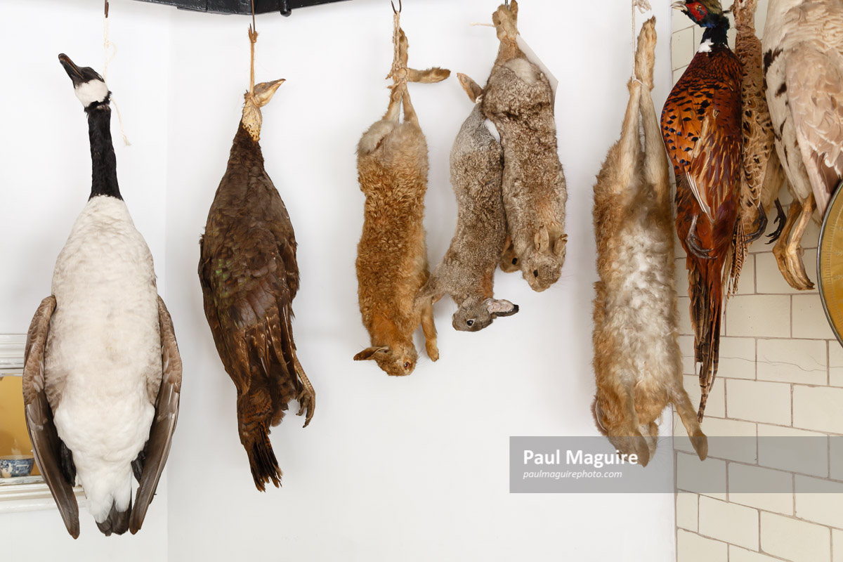 Stock photo - Game birds and rabbits hanging - Paul Maguire
