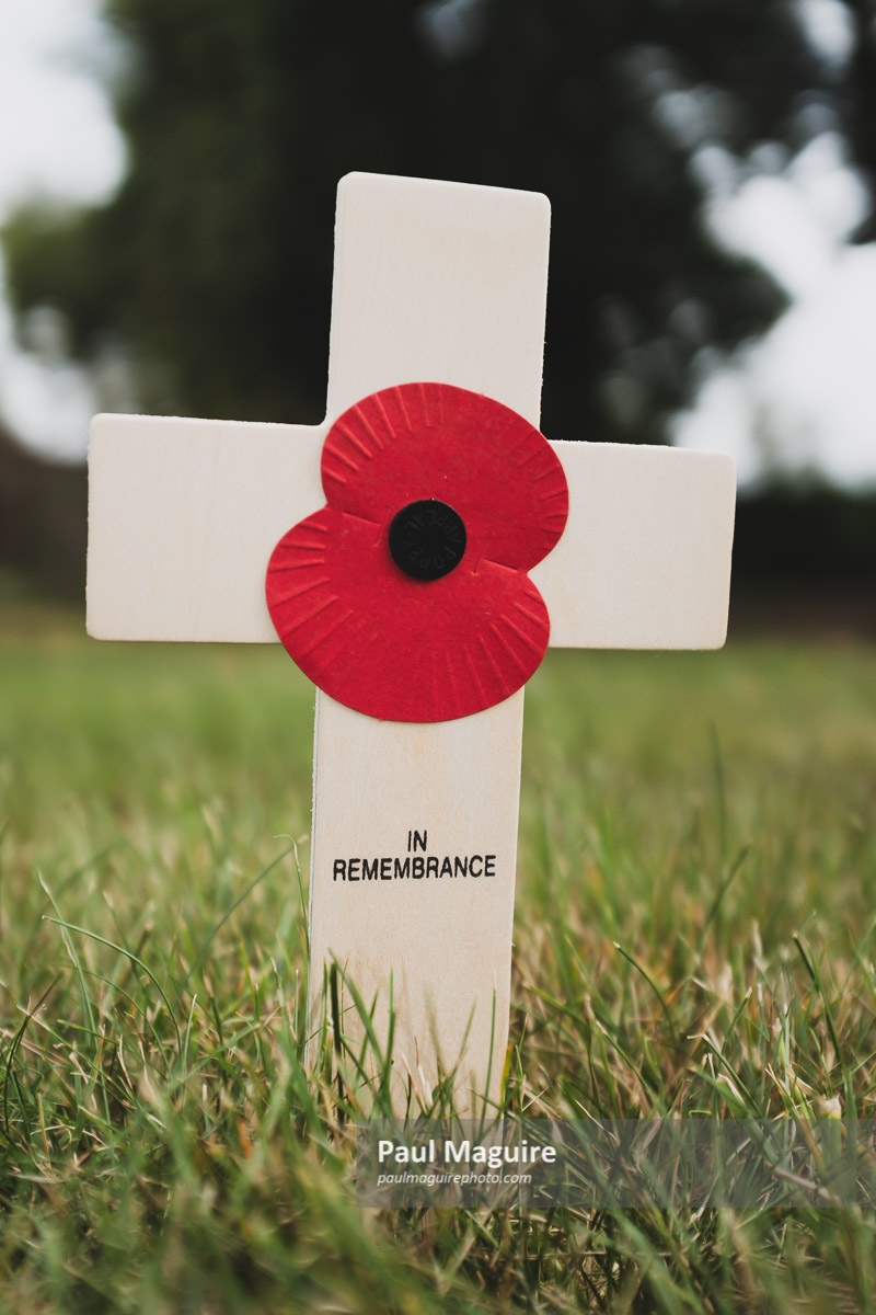 Stock photo - Remembrance day cross with poppy - Paul Maguire