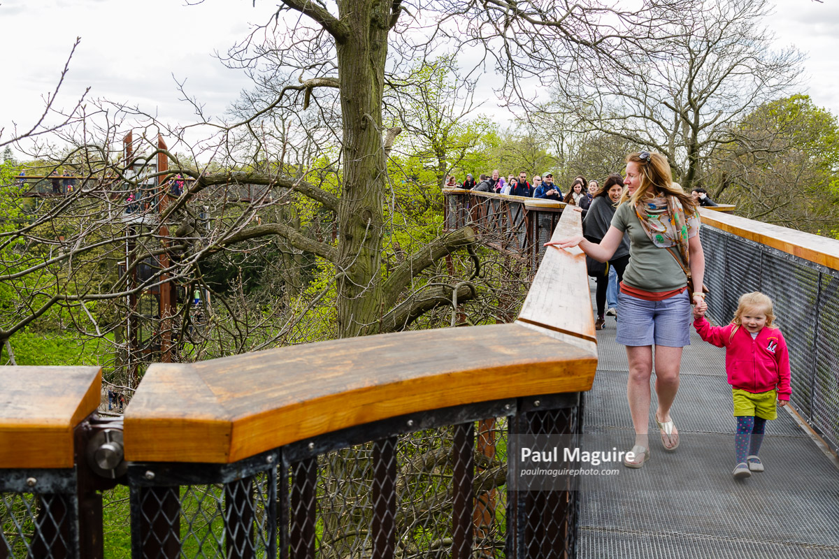 Stock photo - Treetop Walkway Kew Gardens - Paul Maguire