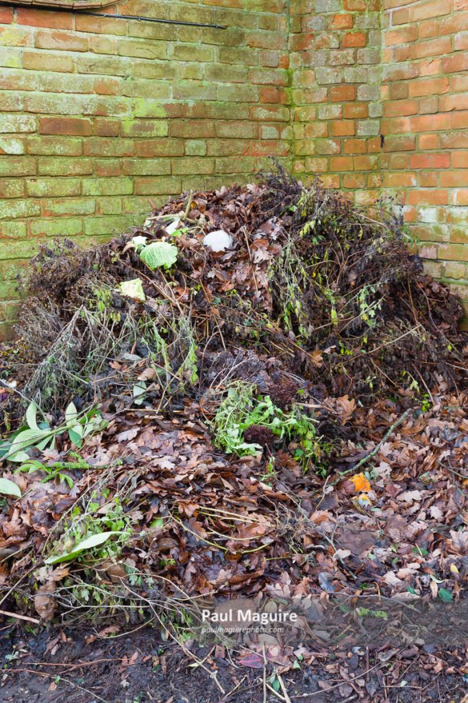Stock photo - Compost heap, garden compost - Paul Maguire