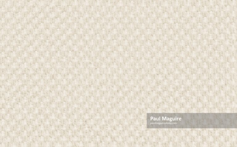 Stock photo - Seamless texture, cream checked fabric pattern - Paul Maguire