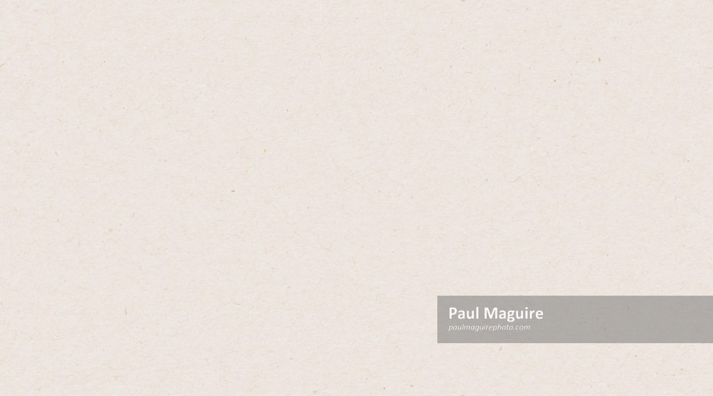 Stock photo - Seamless cardboard background texture - Paul Maguire